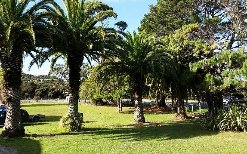 Waitiki Holiday Park | Full Service Camp | New Zealand